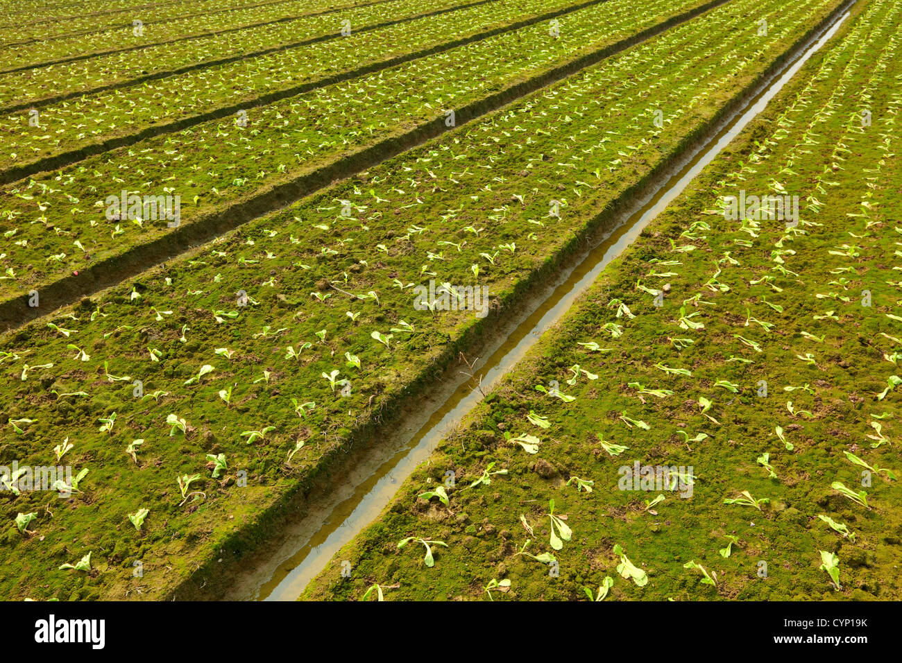 Not good hi-res stock photography and images - Alamy