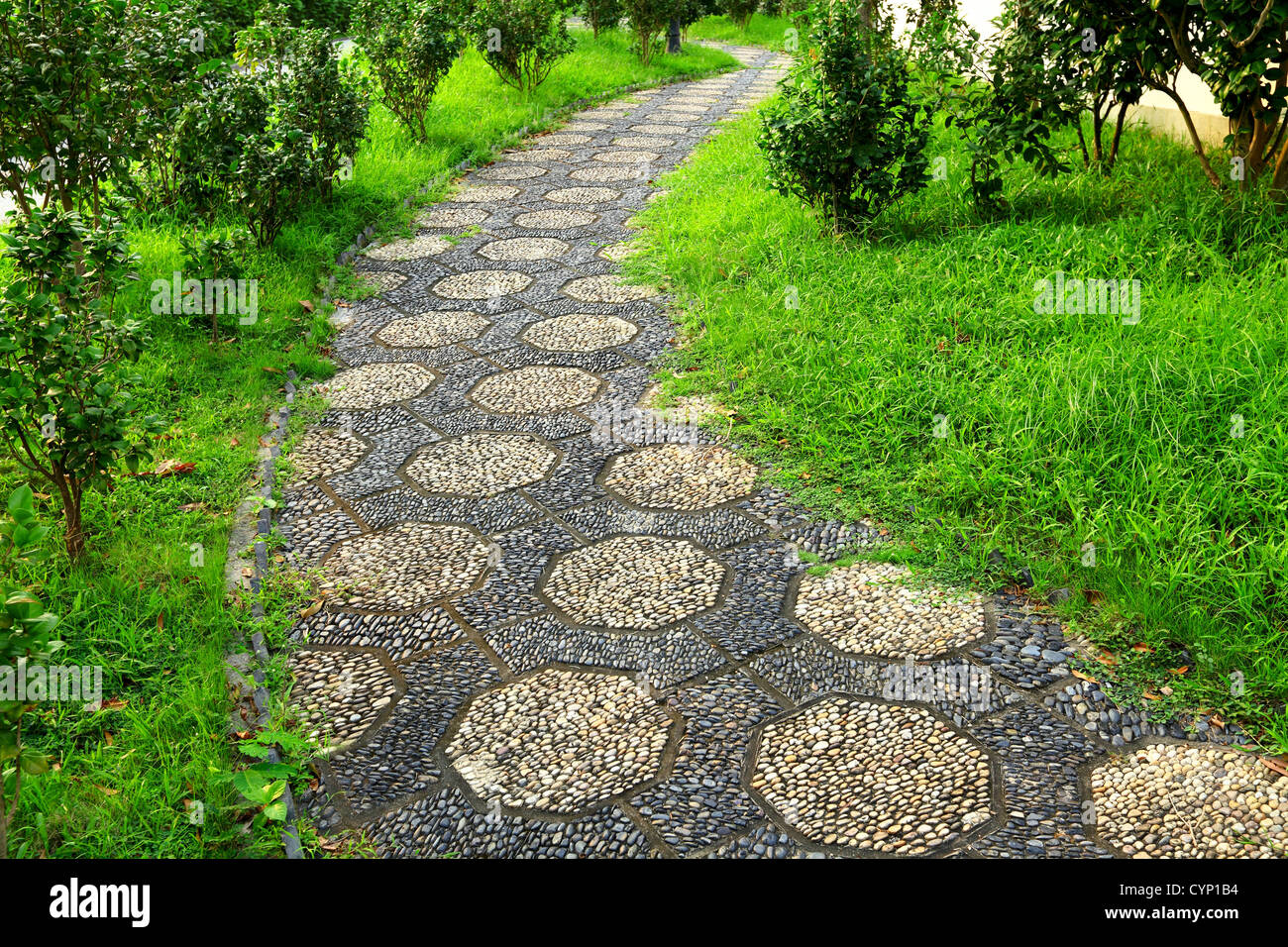 path in park Stock Photo - Alamy
