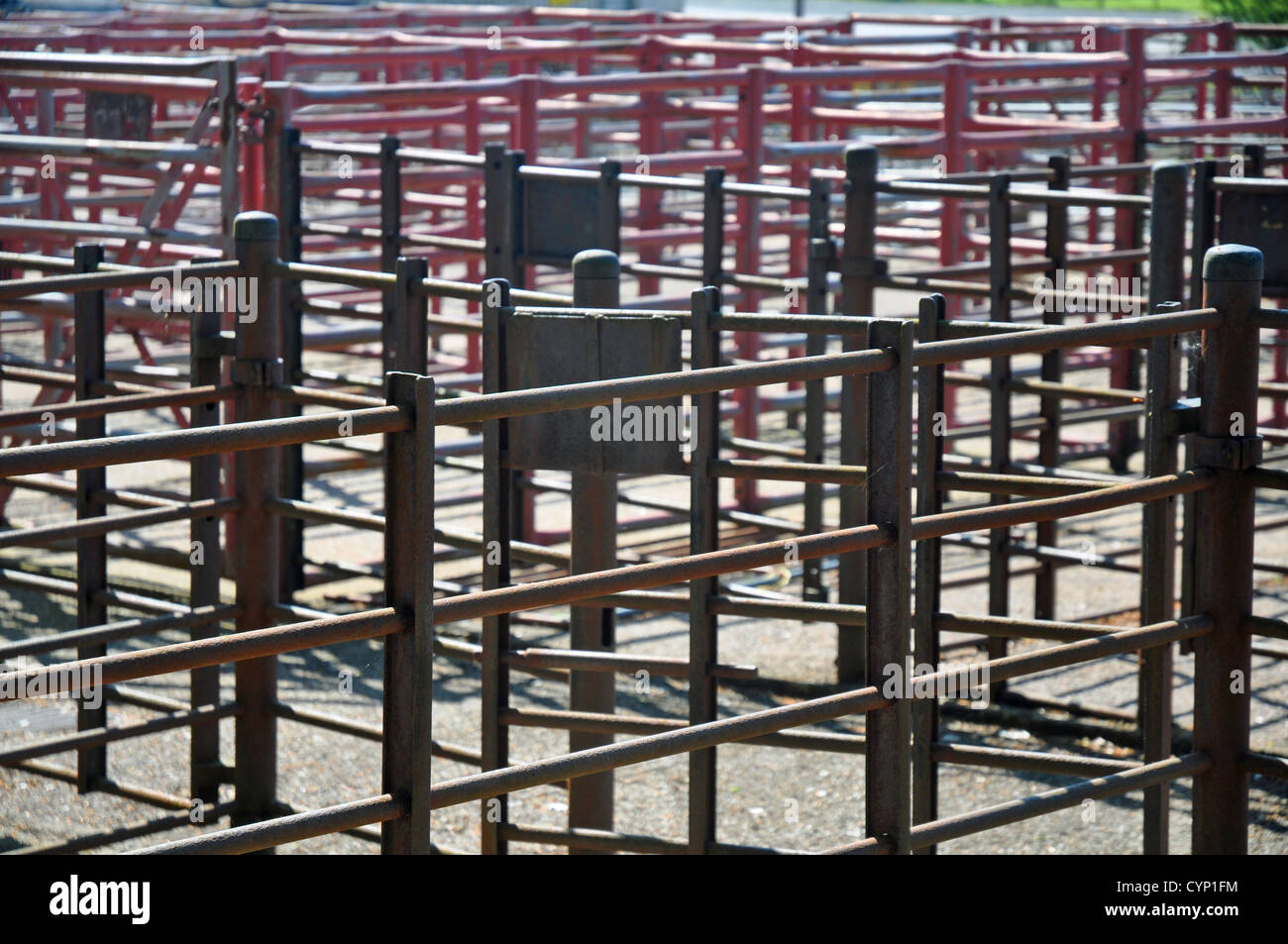 Cattle pens hi-res stock photography and images - Alamy