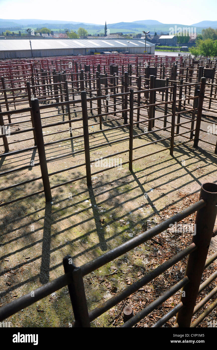 Empty stock pens in the cattle market Stock Photo - Alamy