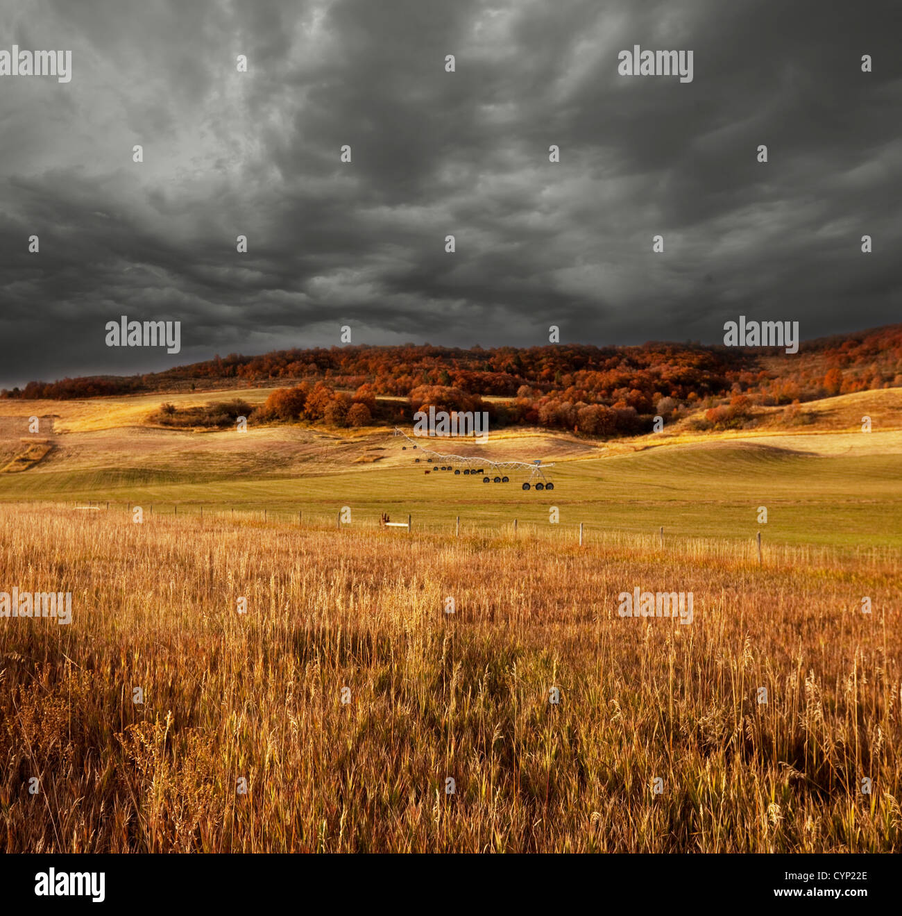 fields in fall season Stock Photo - Alamy