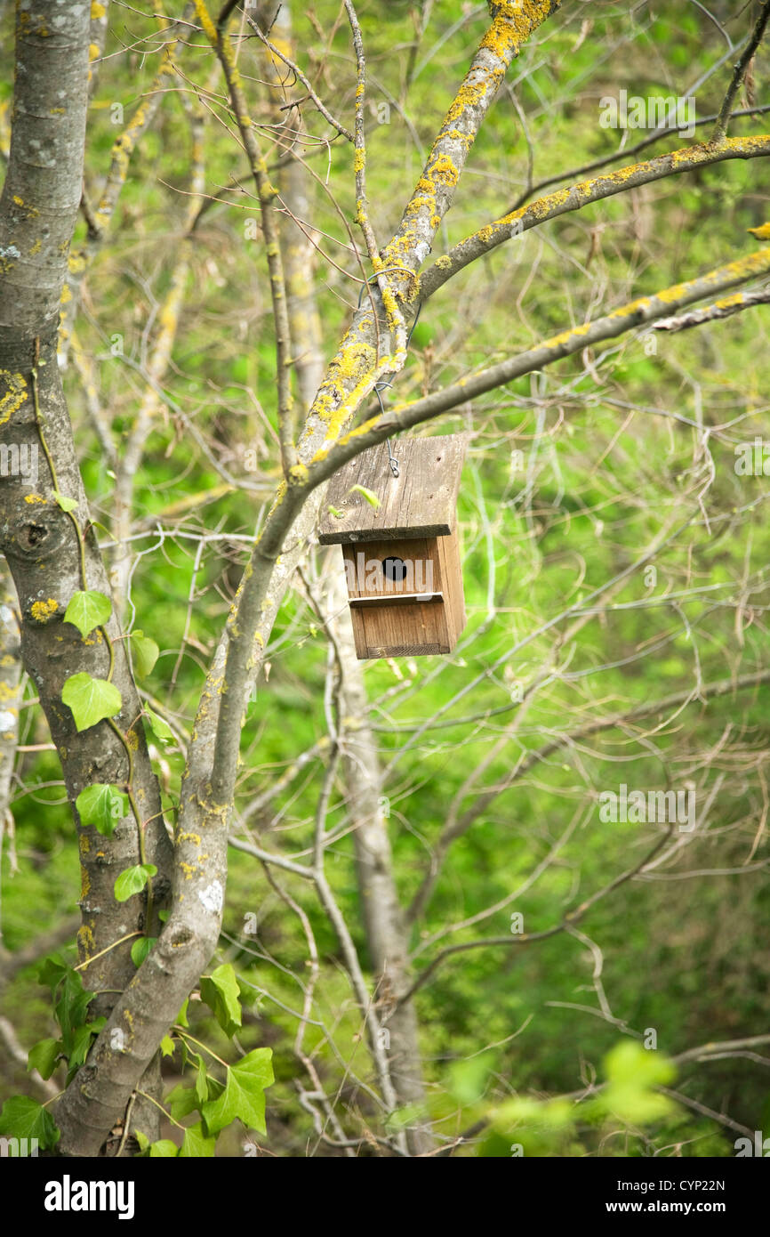 view of the front side of a little bird house pending at the forest ...