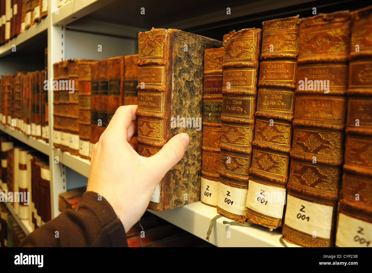 old books in a library bookshelf showing education concept Stock Photo ...