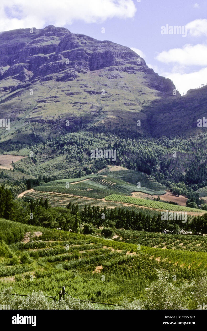 Drakenstein and stellenbosch mountains hi-res stock photography and ...