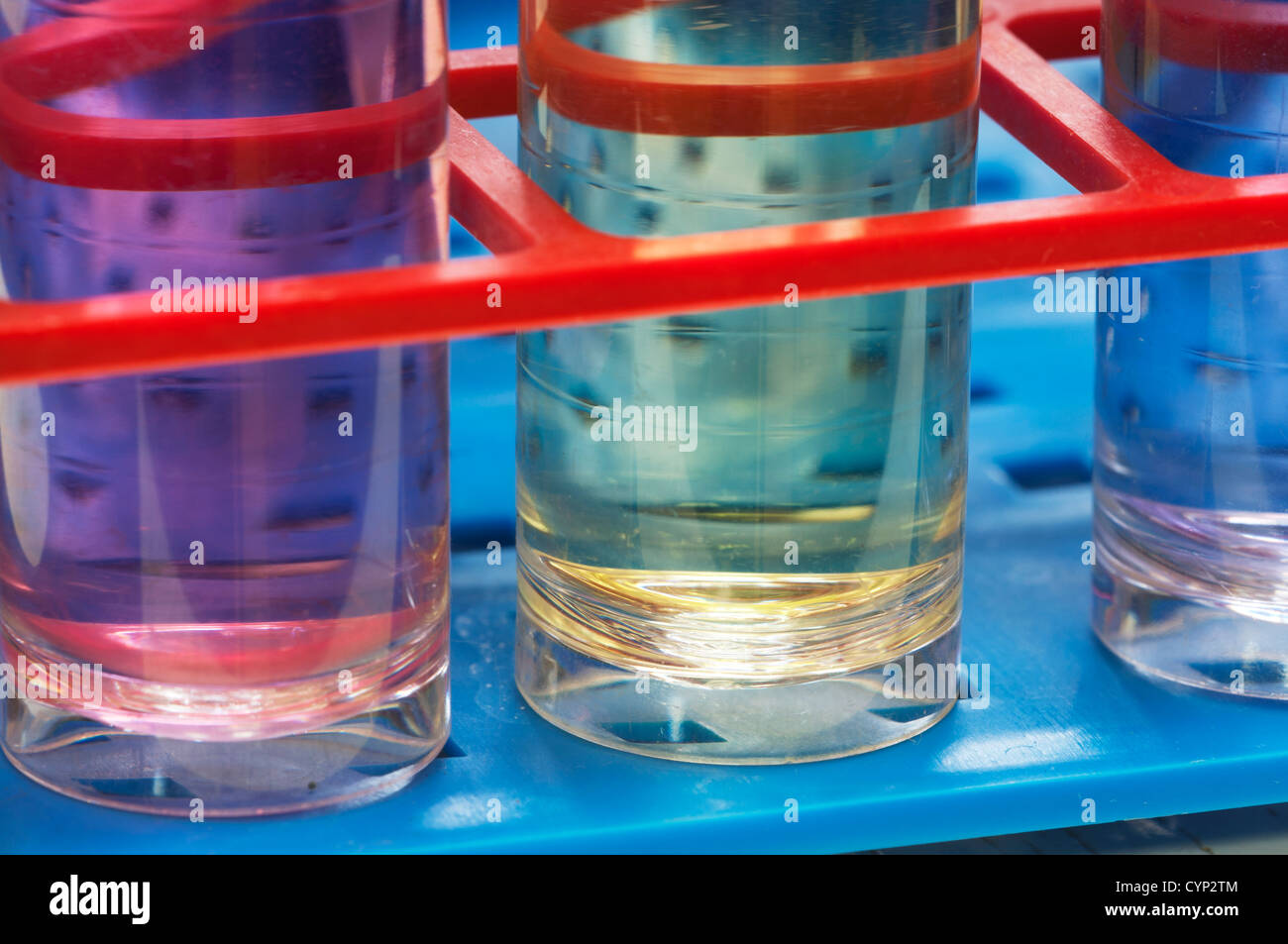 Test tubes with different colored chemicals in a plastic support Stock ...