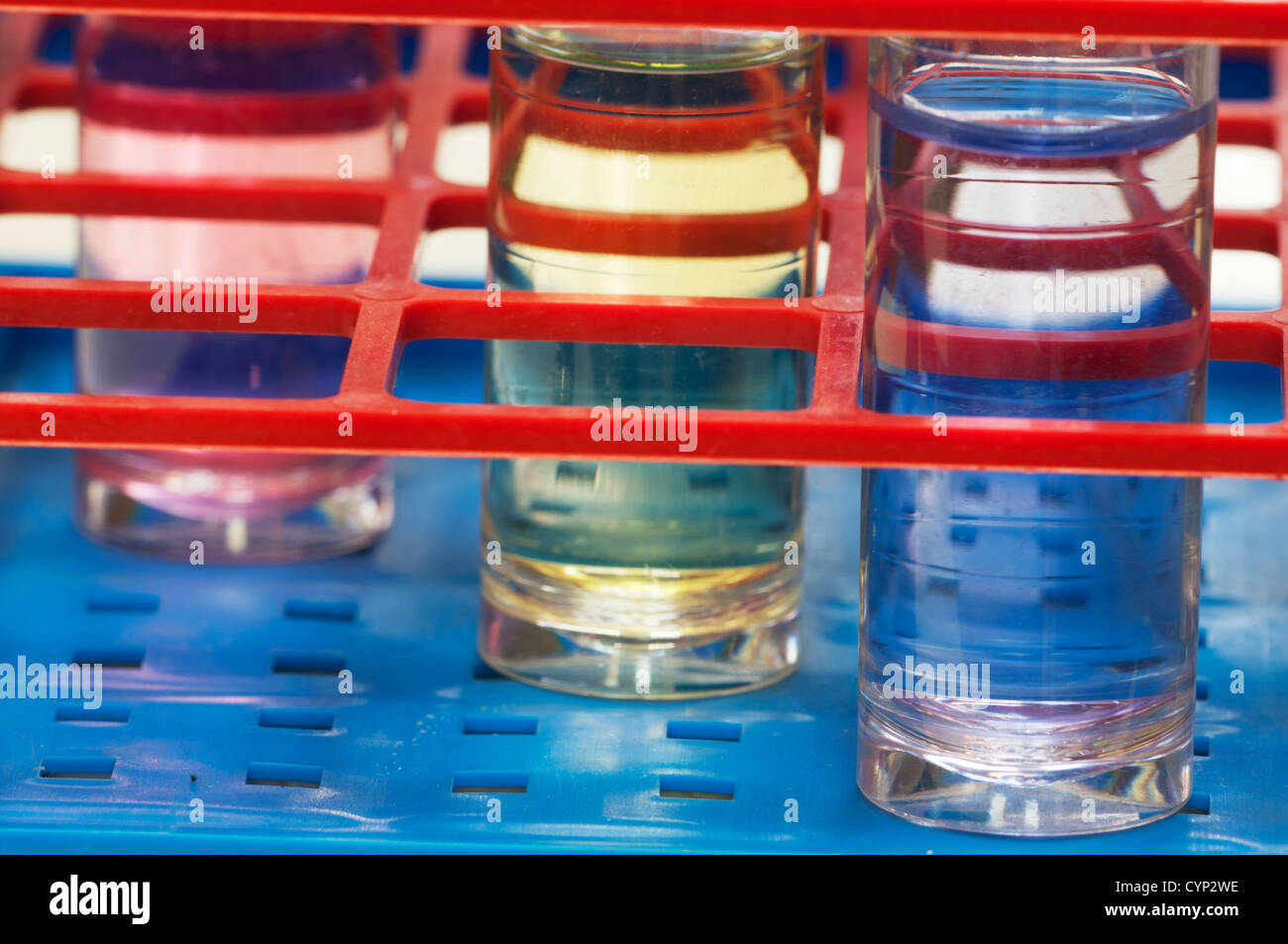 Test tubes with different colored chemicals in a plastic support Stock ...