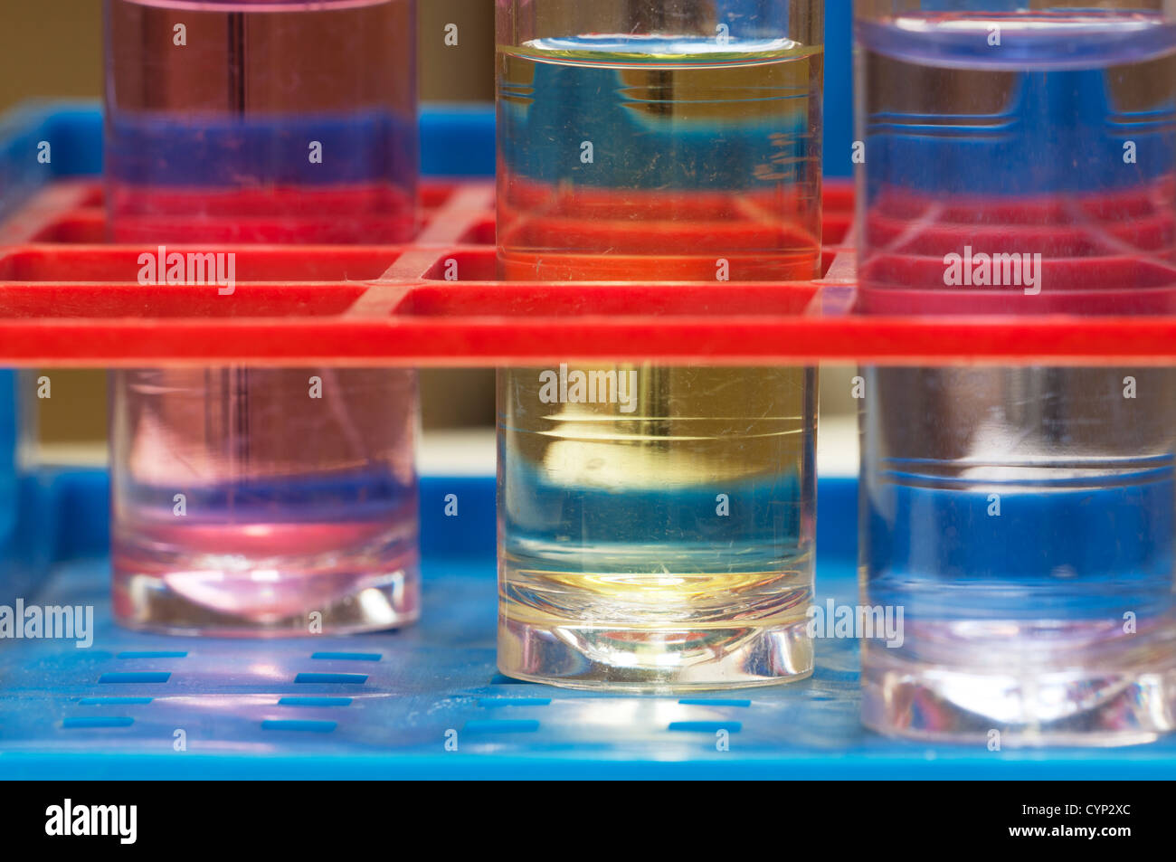 Test tubes with different colored chemicals in a plastic support Stock ...