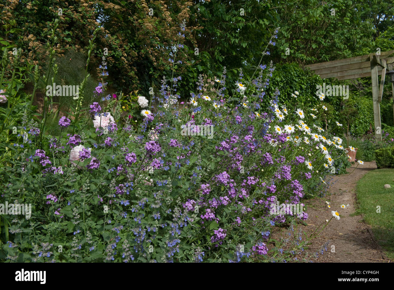 Path leading along the edge of a flower border in suburban garden Stock ...