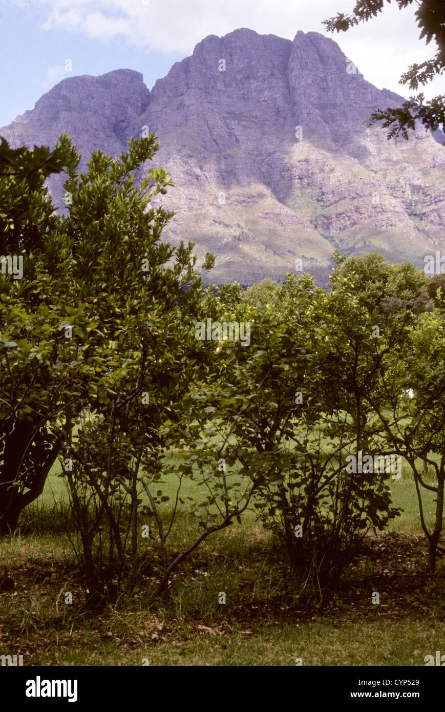 Drakenstein mountains hi-res stock photography and images - Alamy