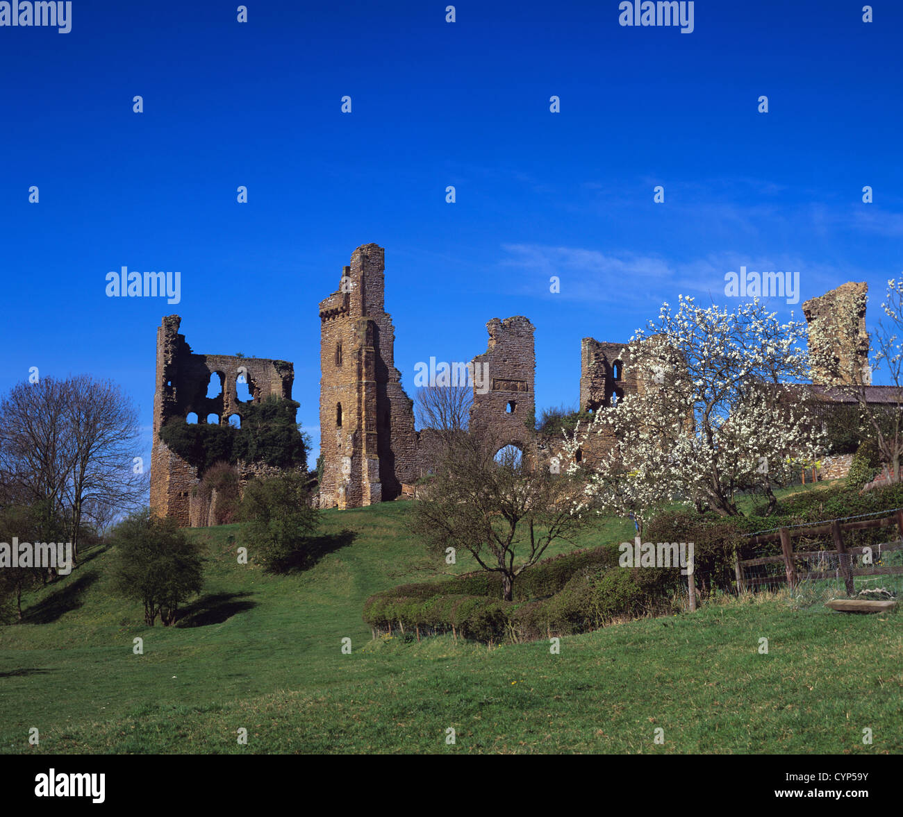 Richard stone queen hi-res stock photography and images - Alamy