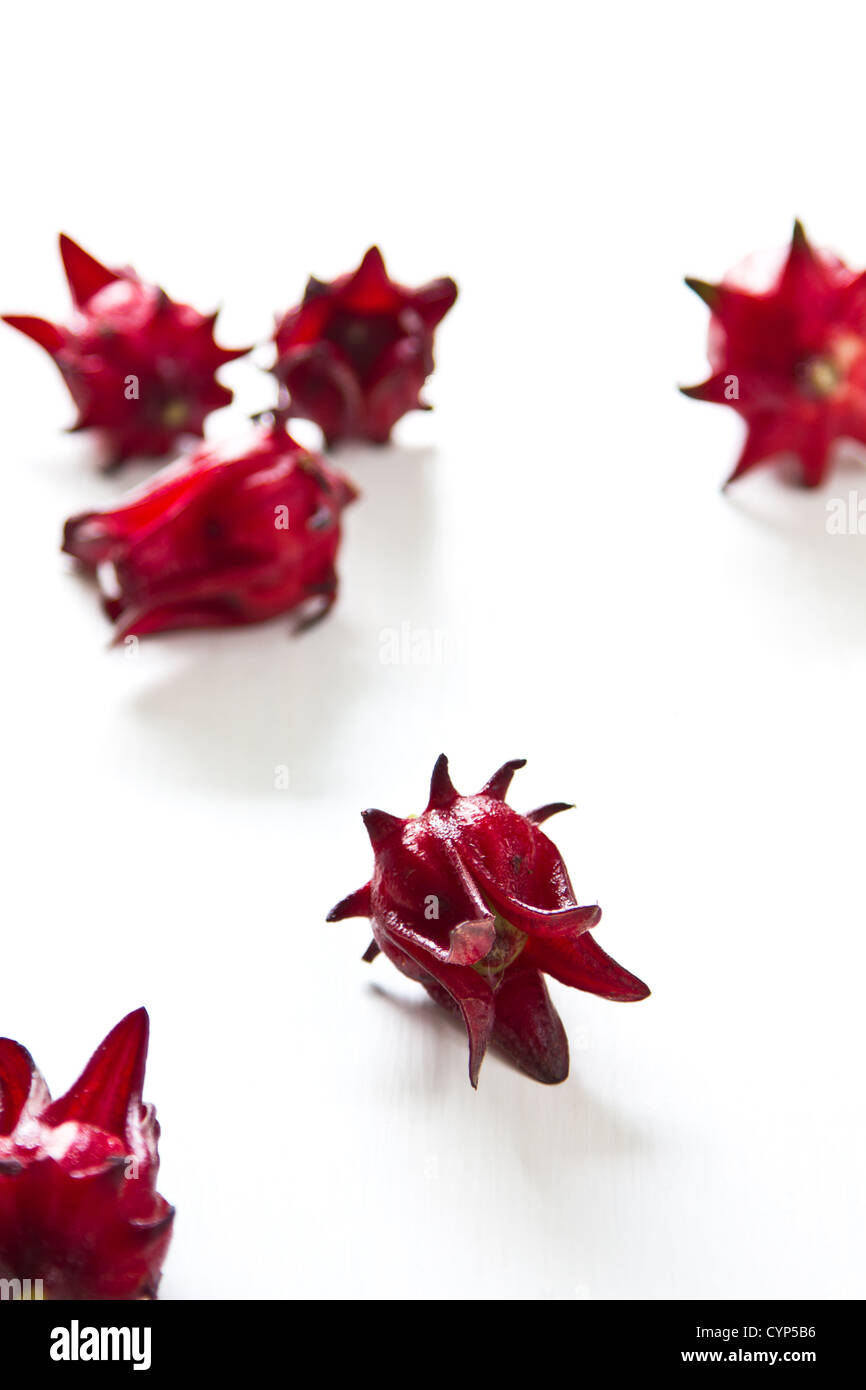 Roselle hibiscus sabdariffa hi-res stock photography and images - Alamy