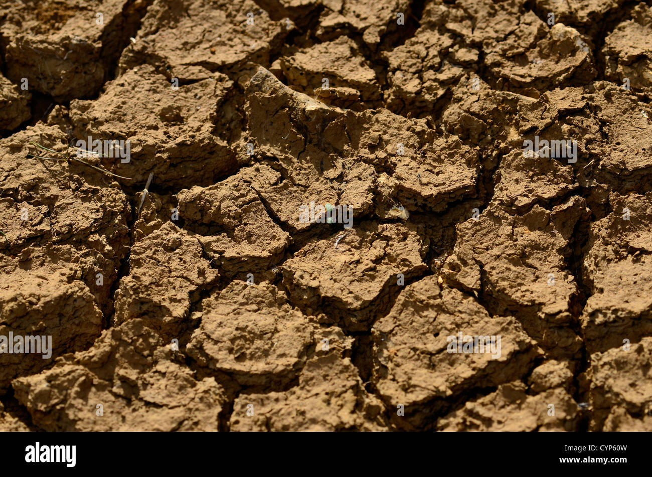 Stream bed dry hi-res stock photography and images - Alamy
