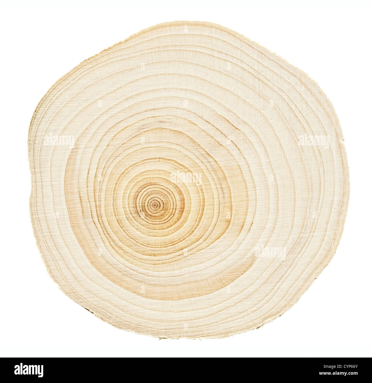 Wood stump rings texture, wooden background Stock Photo - Alamy