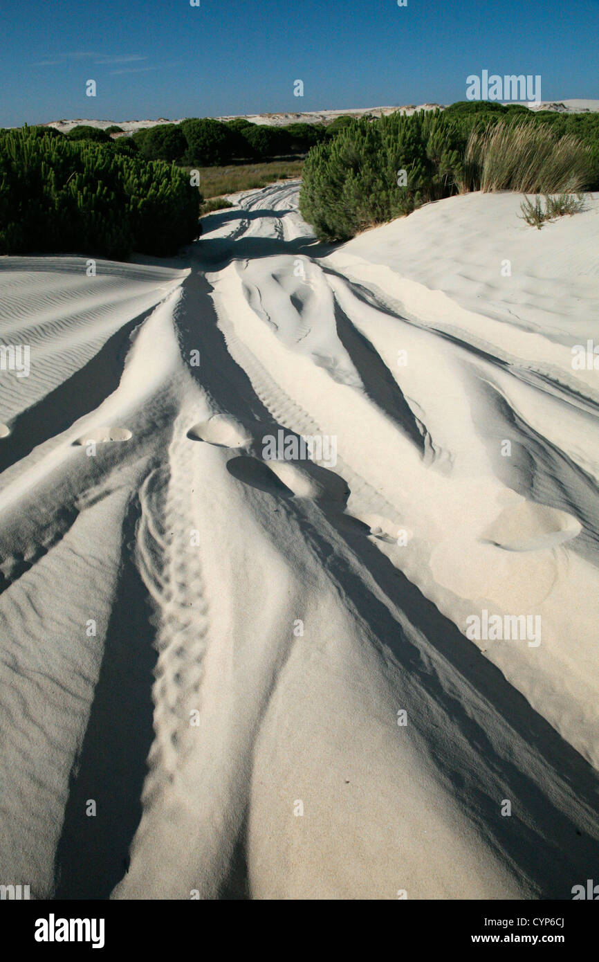 trace truck on the sand at spanish beach Stock Photo - Alamy