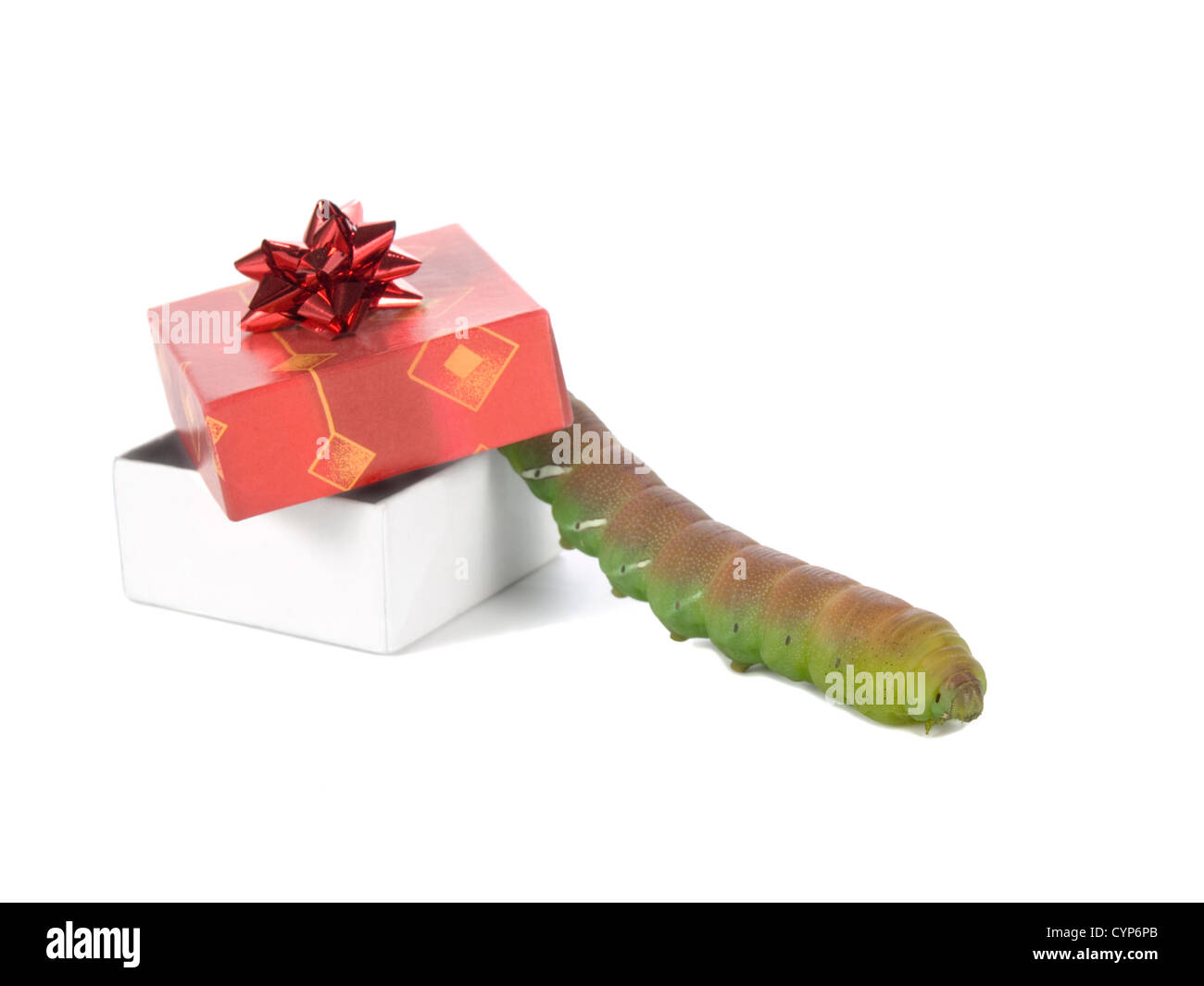 Caterpillar paper Cut Out Stock Images & Pictures - Alamy