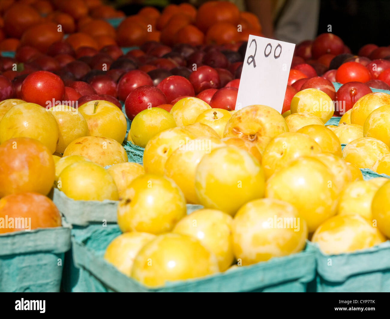 Yellow and red plumes in blue boxes Stock Photo - Alamy