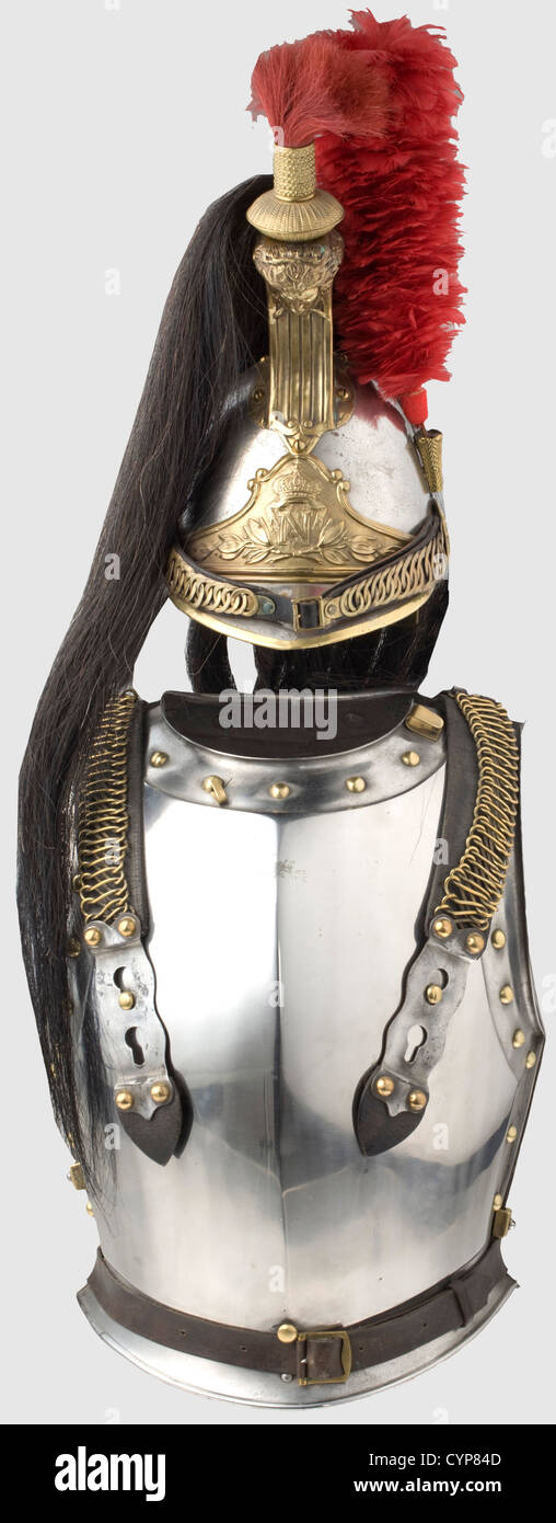 Imperial guard napoleon hi-res stock photography and images - Alamy