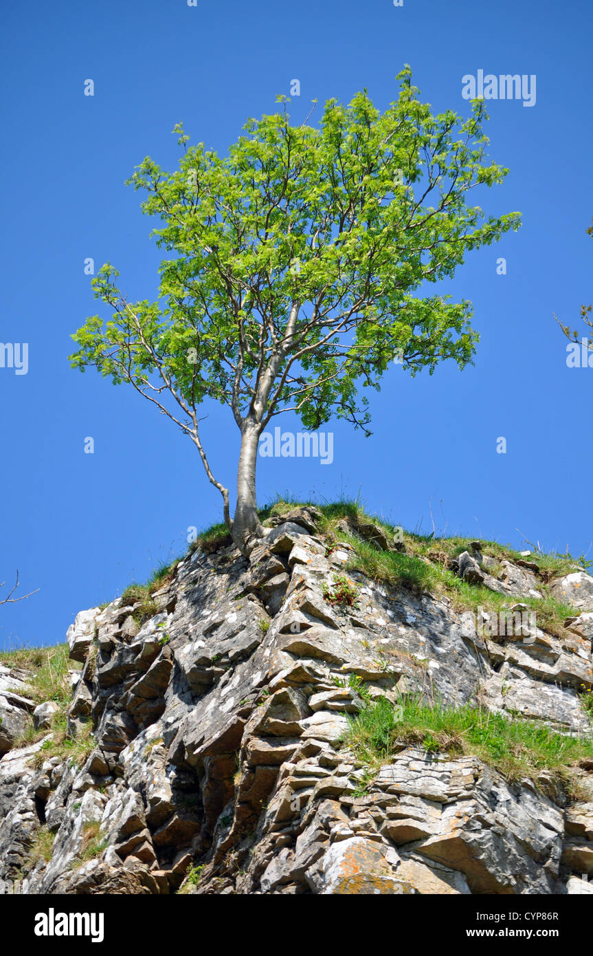 Kirkby stephen landscape hi-res stock photography and images - Alamy