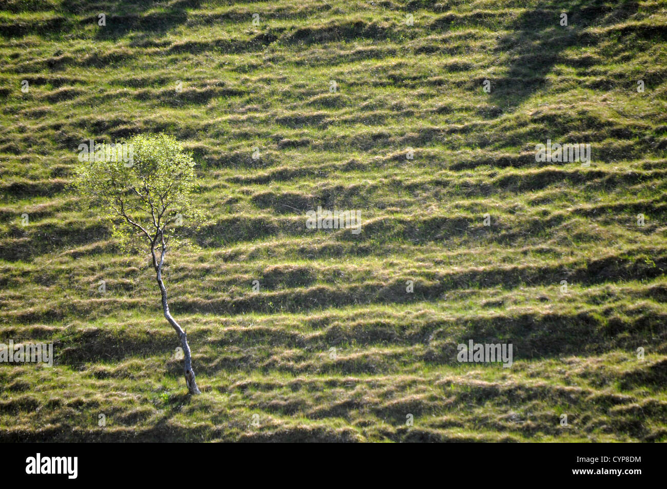 Kirkby stephen landscape hi-res stock photography and images - Alamy