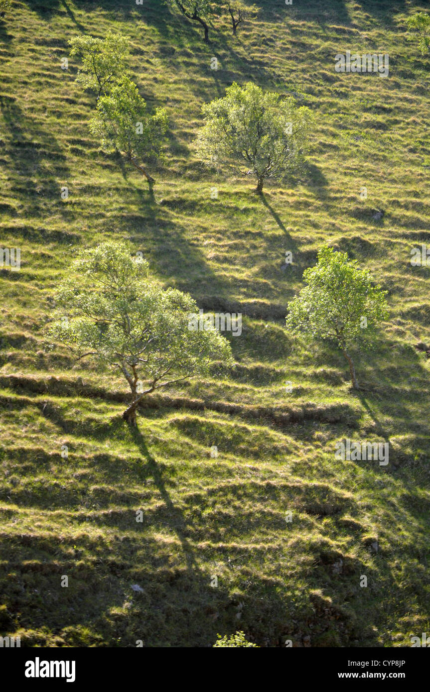 Kirkby stephen landscape hi-res stock photography and images - Alamy