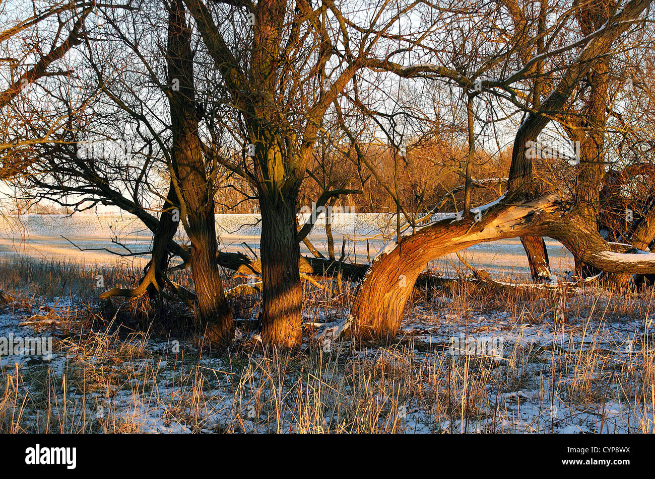 Crooked perspective hi-res stock photography and images - Alamy