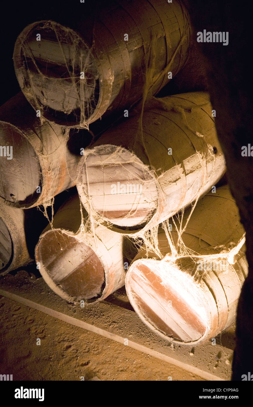 old barrels with cobweb on the dark floor of a cellar Stock Photo - Alamy