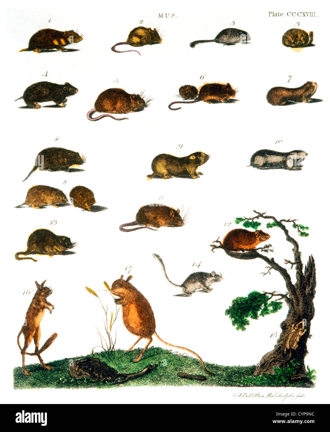 Vintage color chart hi-res stock photography and images - Alamy