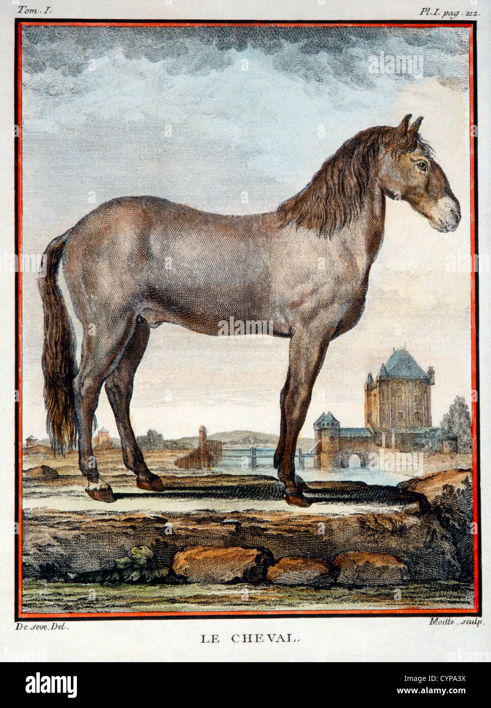 Hand colored engraving hi-res stock photography and images - Alamy