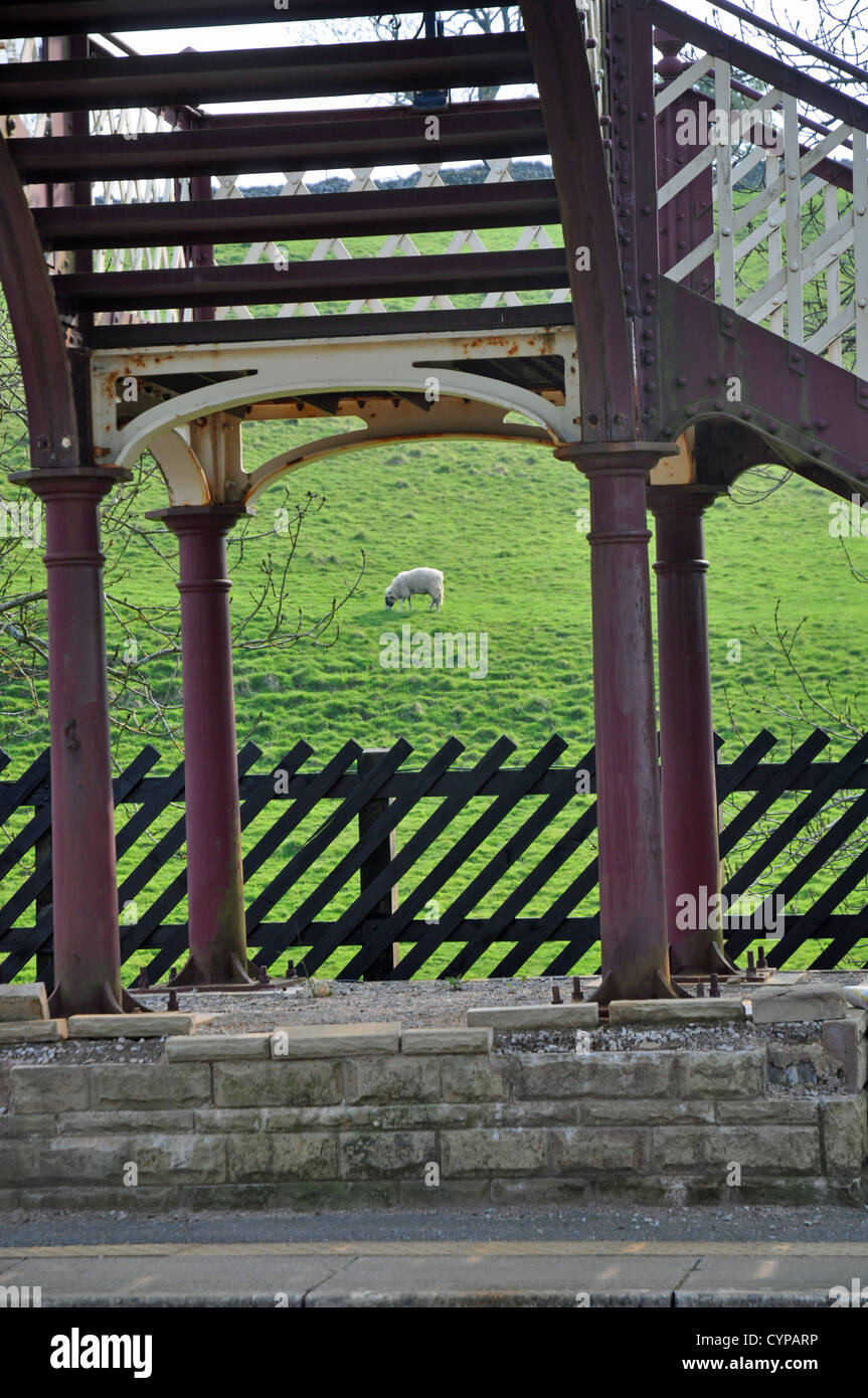 Sheep bridge hi-res stock photography and images - Alamy