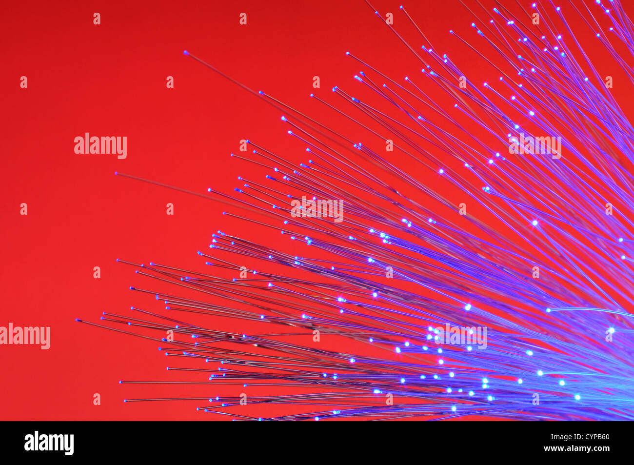 optical telecommunication fia glass fiber and fiber optics Stock Photo ...