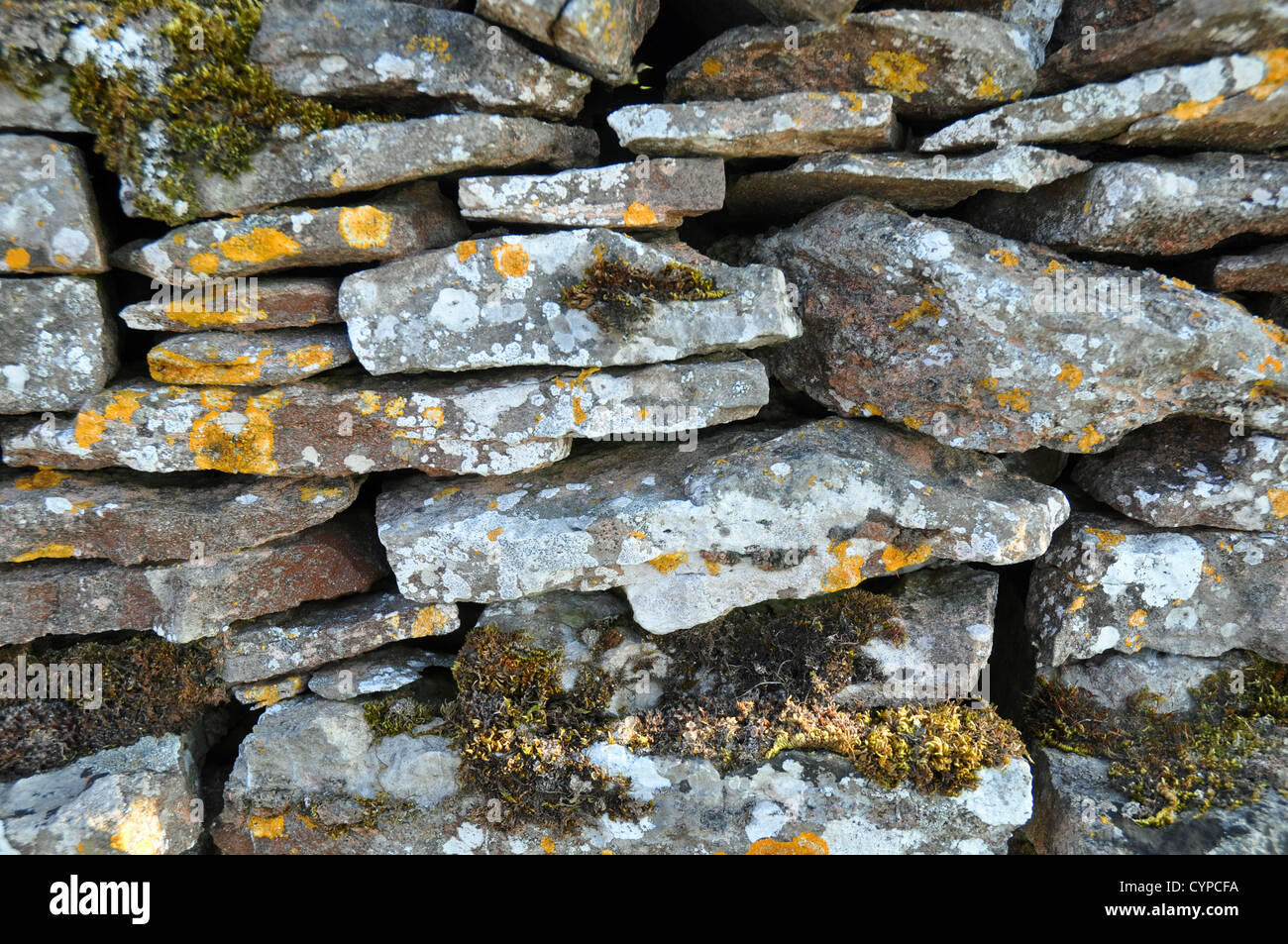 Traditional stone wall Stock Photo - Alamy