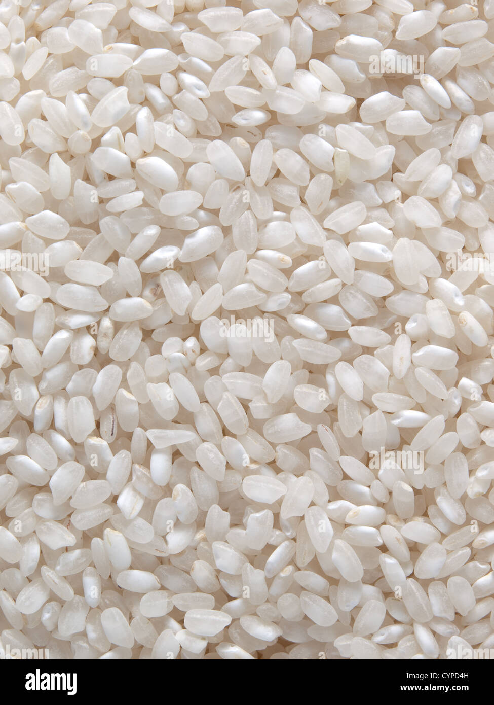 Detail of a pile of raw white rice Stock Photo - Alamy