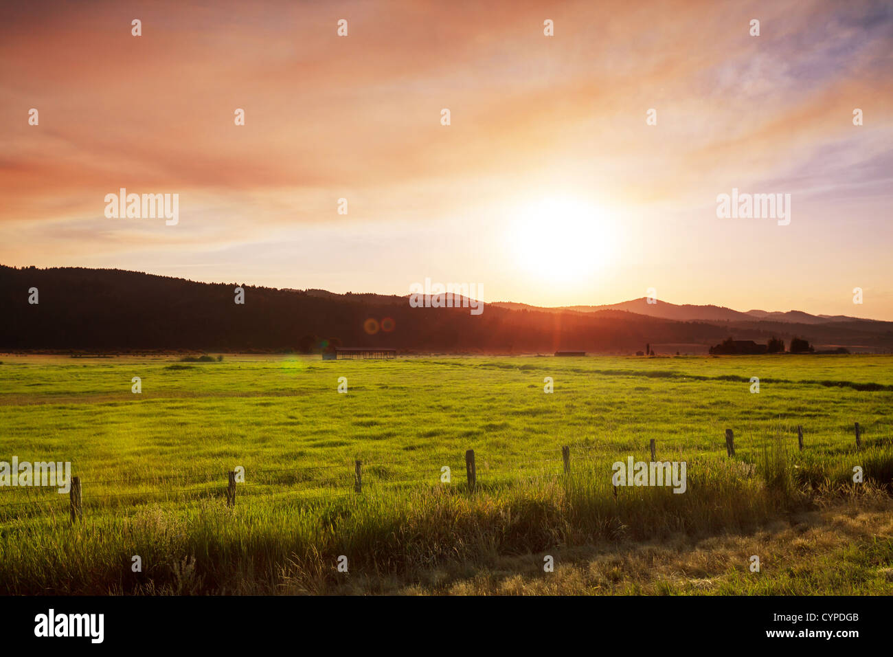 Field on sunset Stock Photo - Alamy