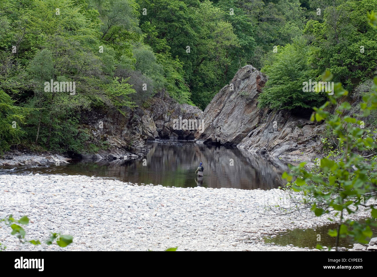 Casting a line fly fishing in a pool in front of shingle the River ...