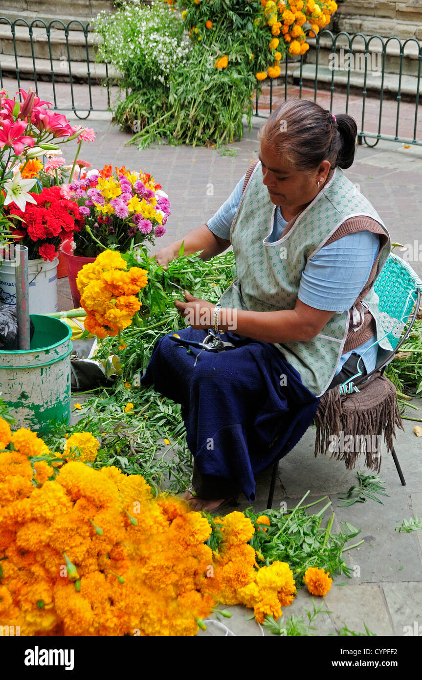 Plaza del baratillo woman preparing marigolds on street stall hi-res ...