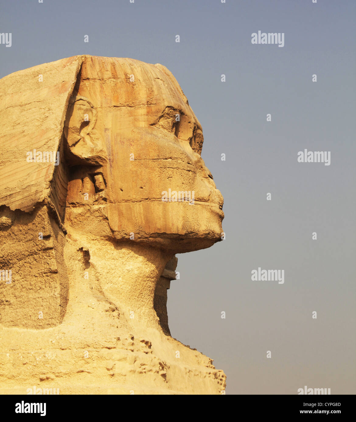 Egyptian sphinx and pyramid on sunset Stock Photo - Alamy