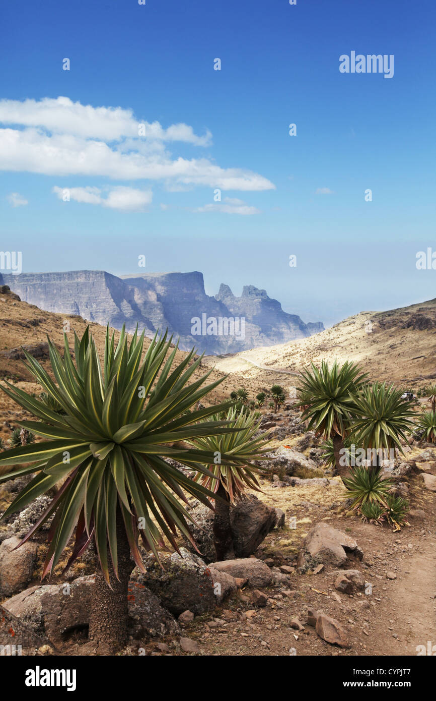 Ethiopian landscapes hi-res stock photography and images - Alamy