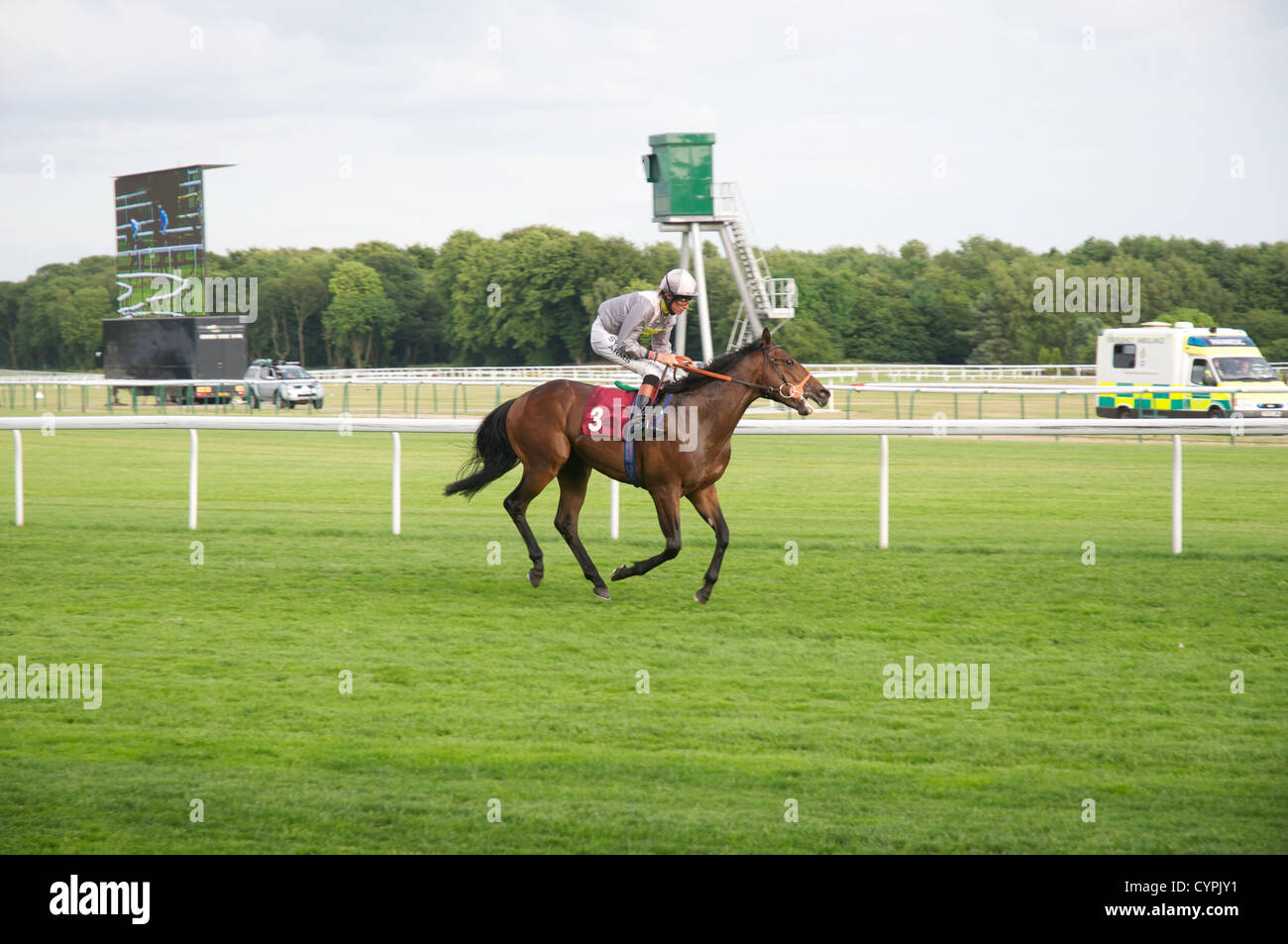 Horses and jockeys running along grass on a racetrack Stock Photo - Alamy