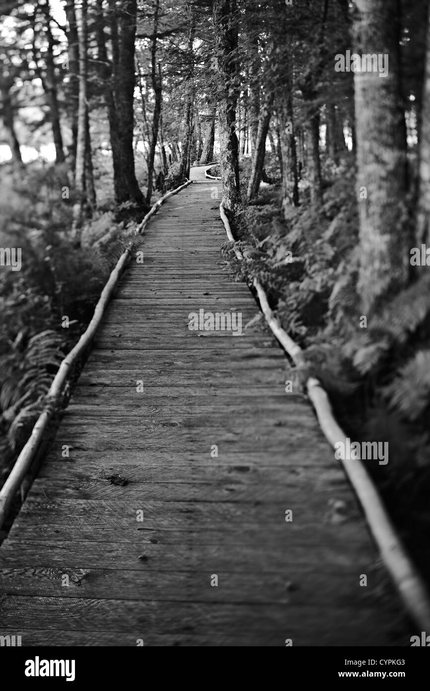 Wooden path through woods Stock Photo - Alamy