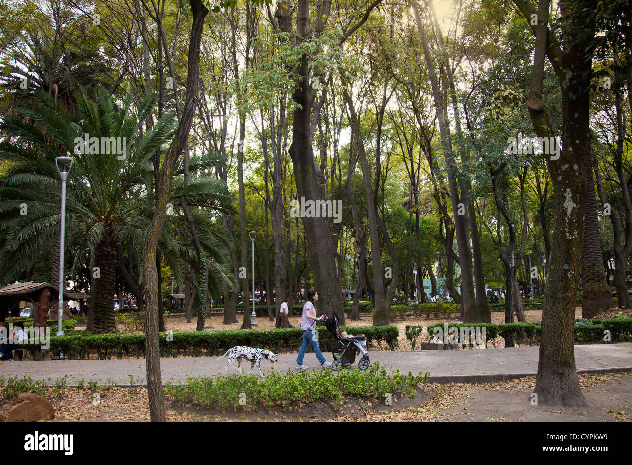 Parque san martín mexico city hi-res stock photography and images - Alamy