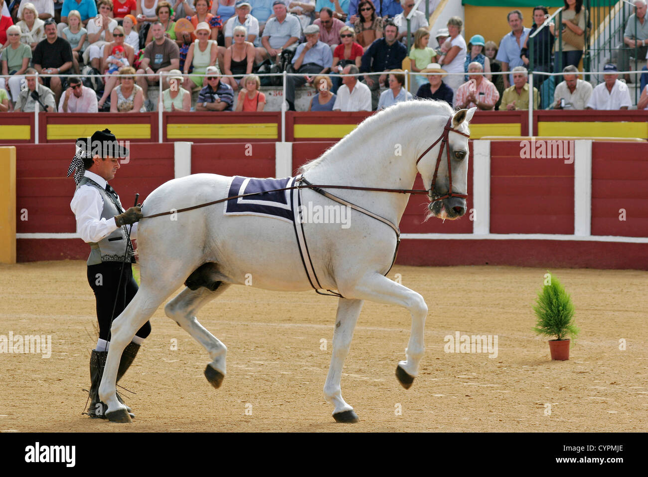 Dressage horse competition hi-res stock photography and images - Alamy