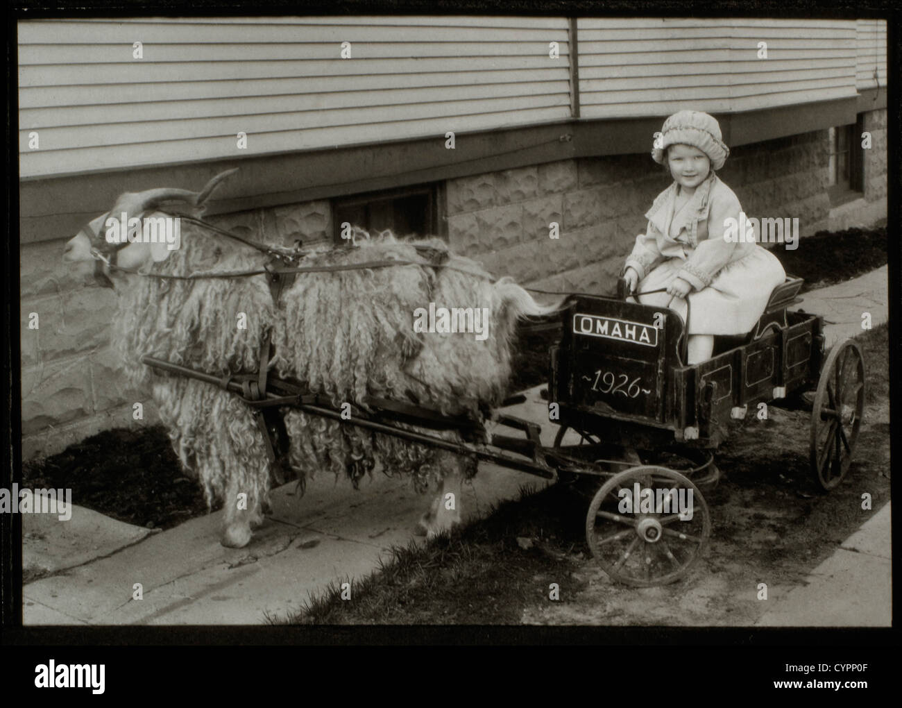 Goat cart hi-res stock photography and images - Alamy