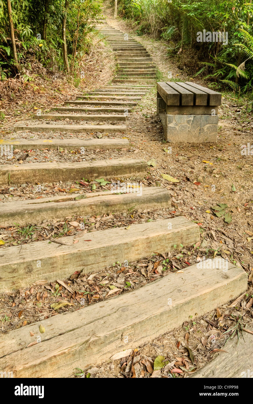 Rural path and wooden stair in outdoor with yellow bench Stock Photo ...