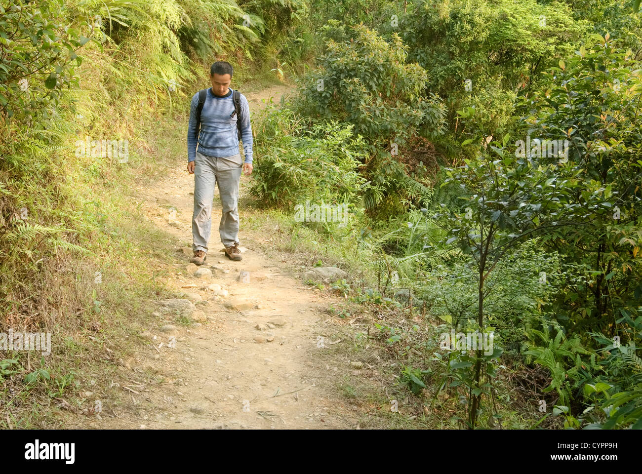 Man walking alone on small rural path in forest of mountain Stock Photo ...