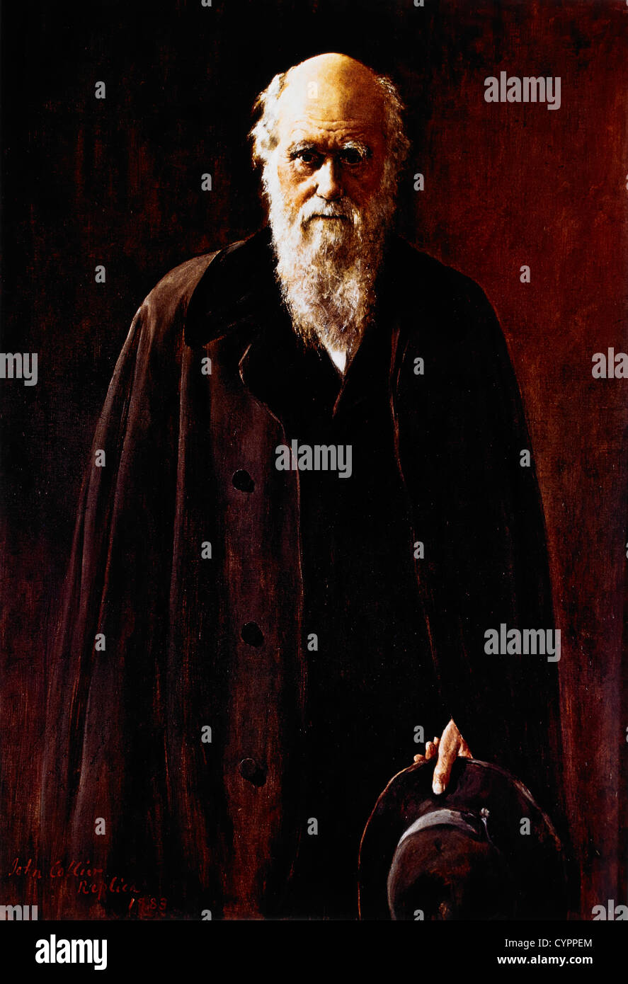 Charles Darwin (1809-1882 Stock Photo - Alamy