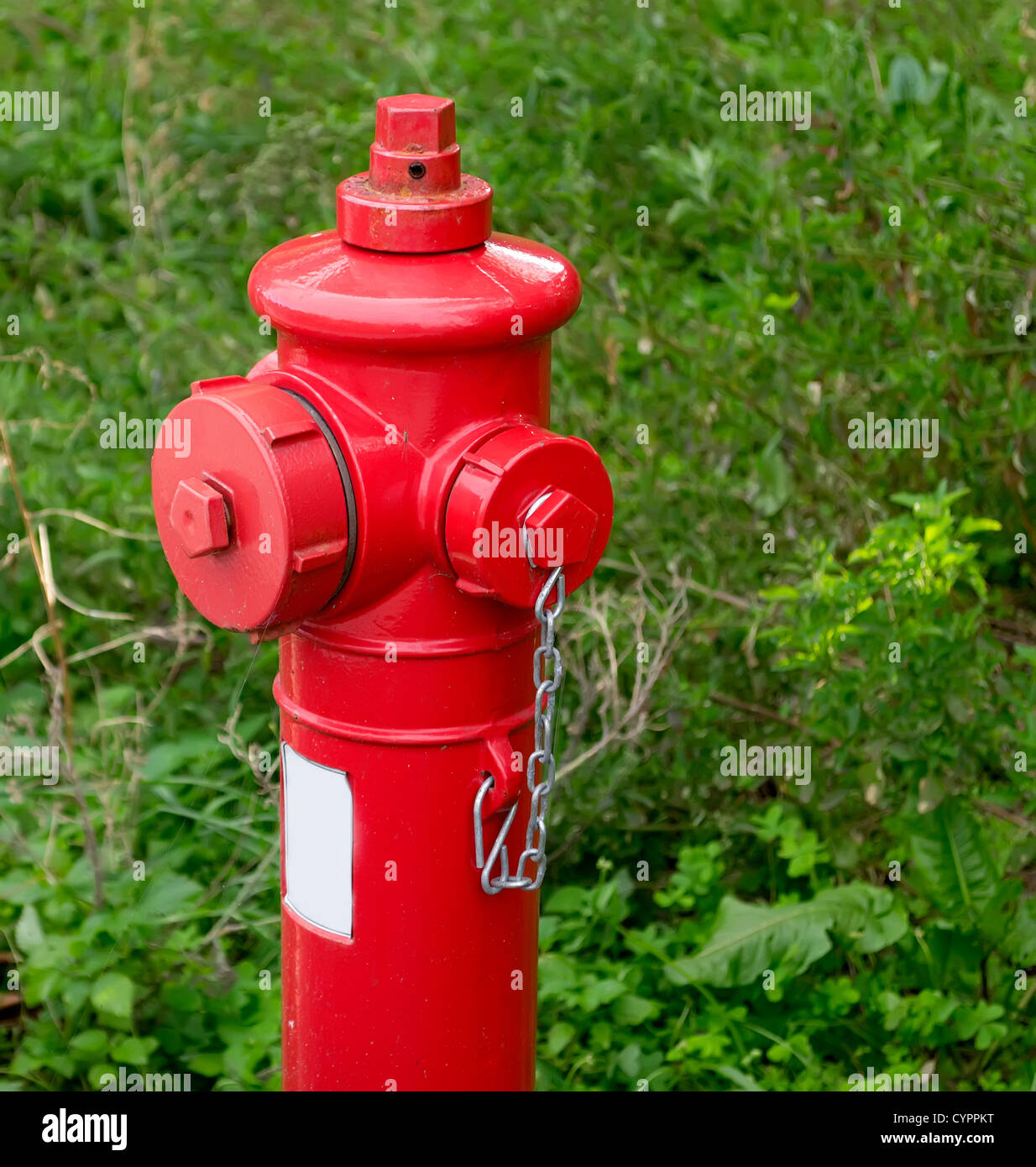red hydrant in a grass Stock Photo - Alamy