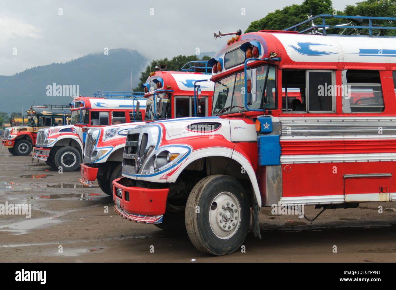 Red and white buses hi-res stock photography and images - Alamy