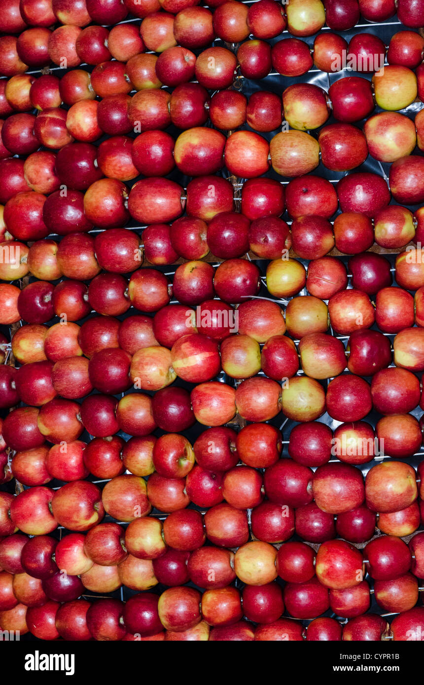 Huge Pile Of Fresh Red Apples Stock Photo - Alamy