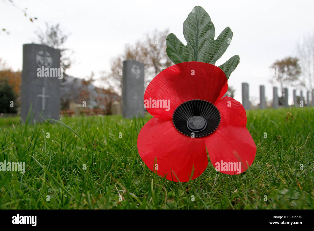 Poppy death hi-res stock photography and images - Alamy