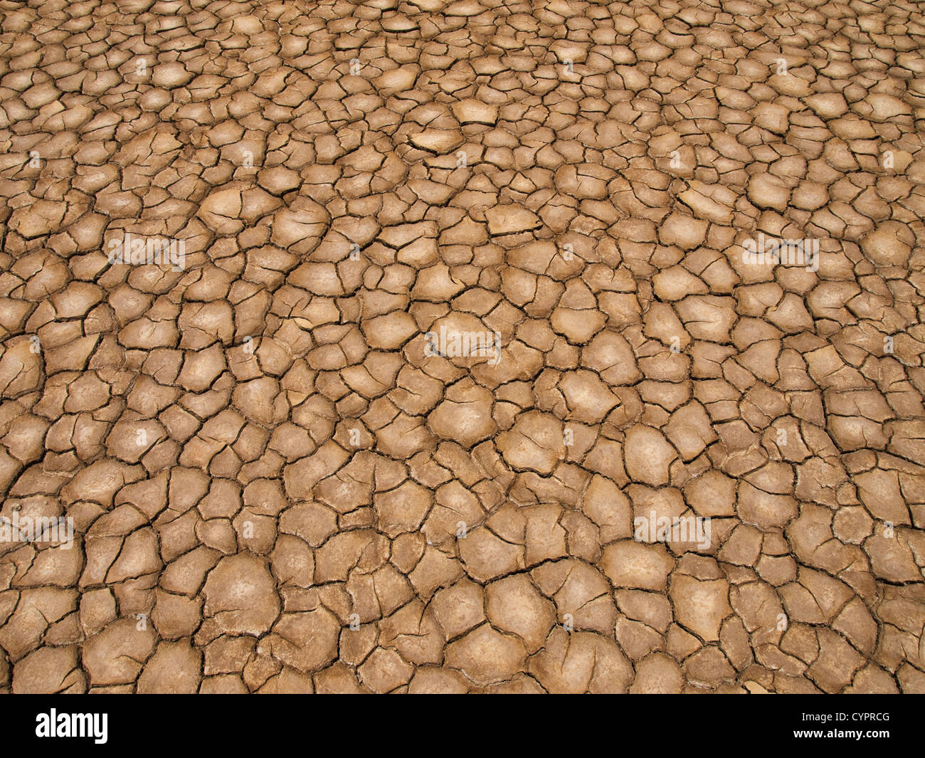 Arid scorched parched baked dry earth hi-res stock photography and ...